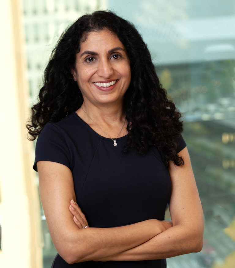 Our Team – Seneca Group